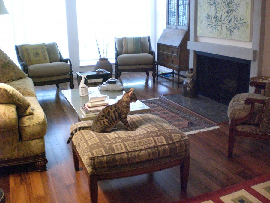 Armstrong Carpet & Linoleum | Floor & Window | Diamond Certified