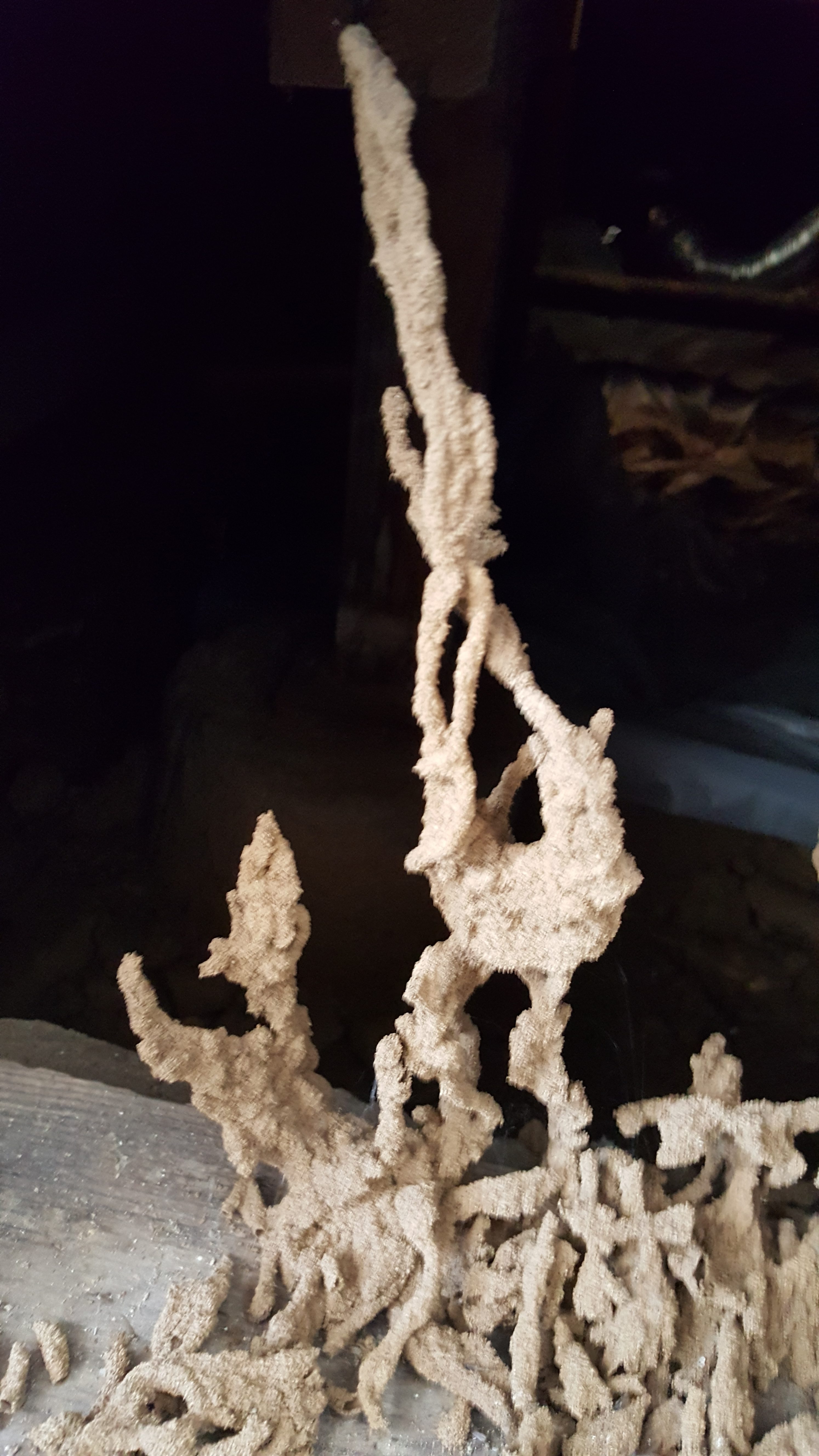 Hi Tech Termite Control of the Bay Area, Inc. | Diamond Certified