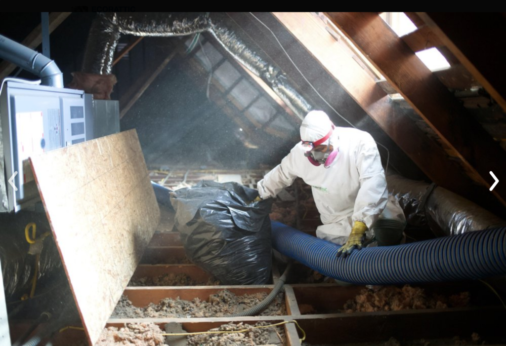 Attic and Crawl Space Cleaning FAQs | Diamond Certified