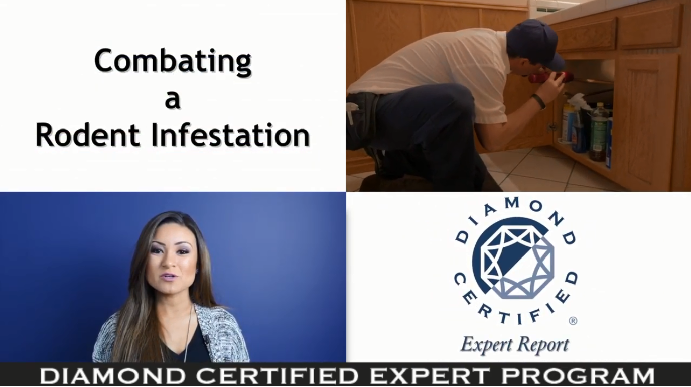 Video: Combating a Rodent Infestation | Diamond Certified