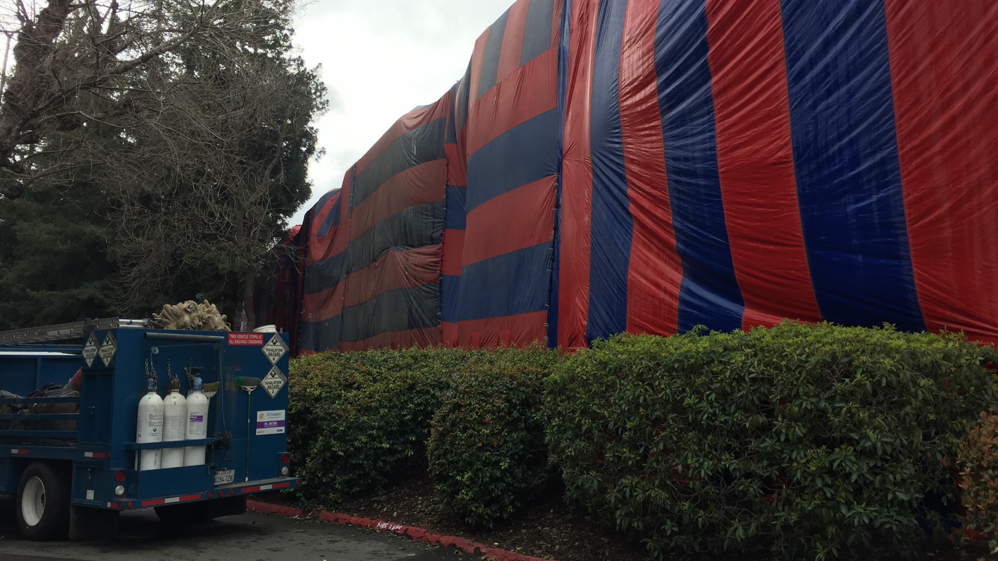 Know What You Want Before Hiring a Termite Control Company | Diamond ...